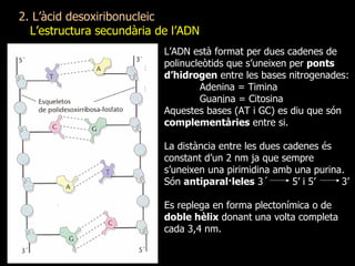 Bio1r_Unitat3_RNA_ ADN | PPT