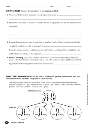 Modern Biology | PDF