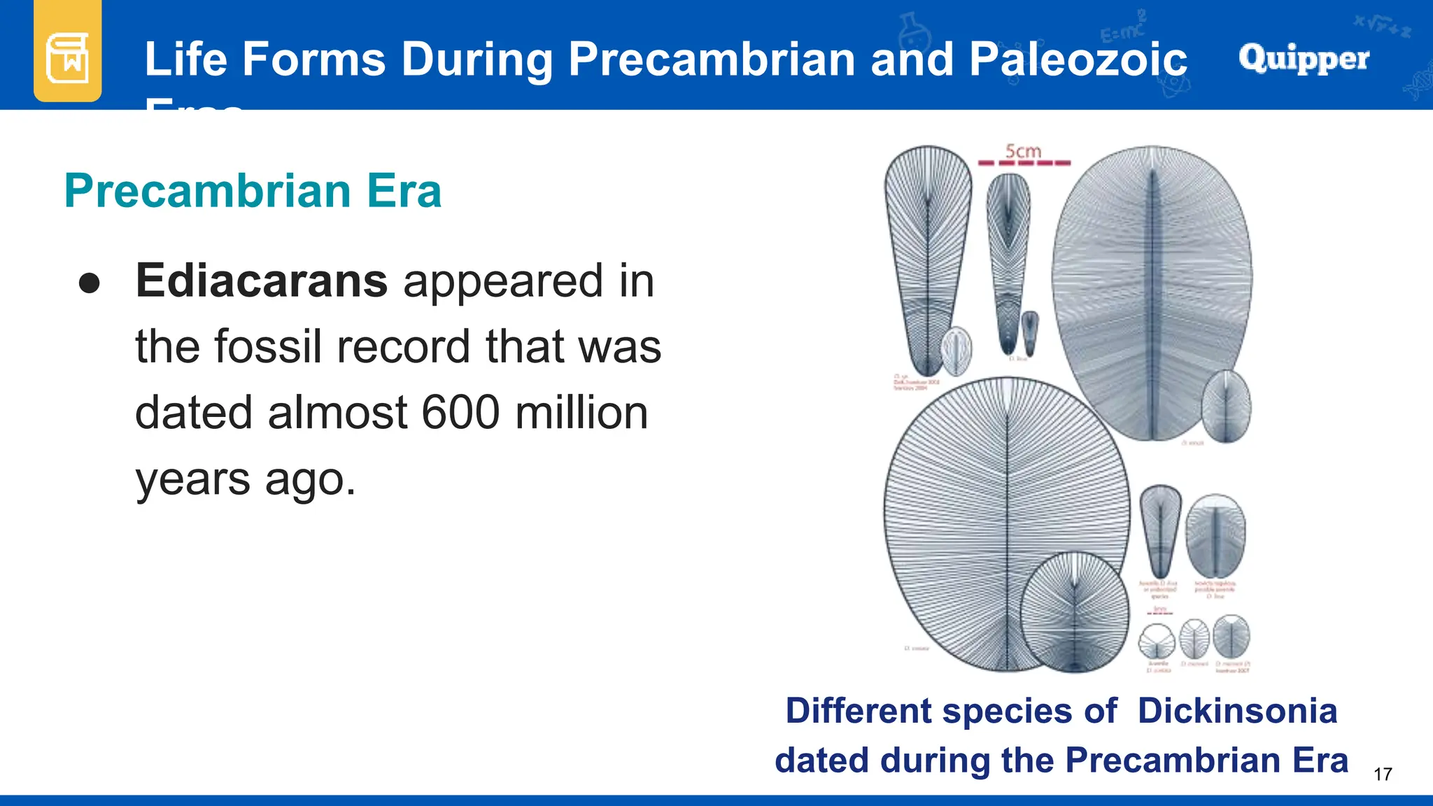Life during the Precambrian and Paleozoic Period | PPTX