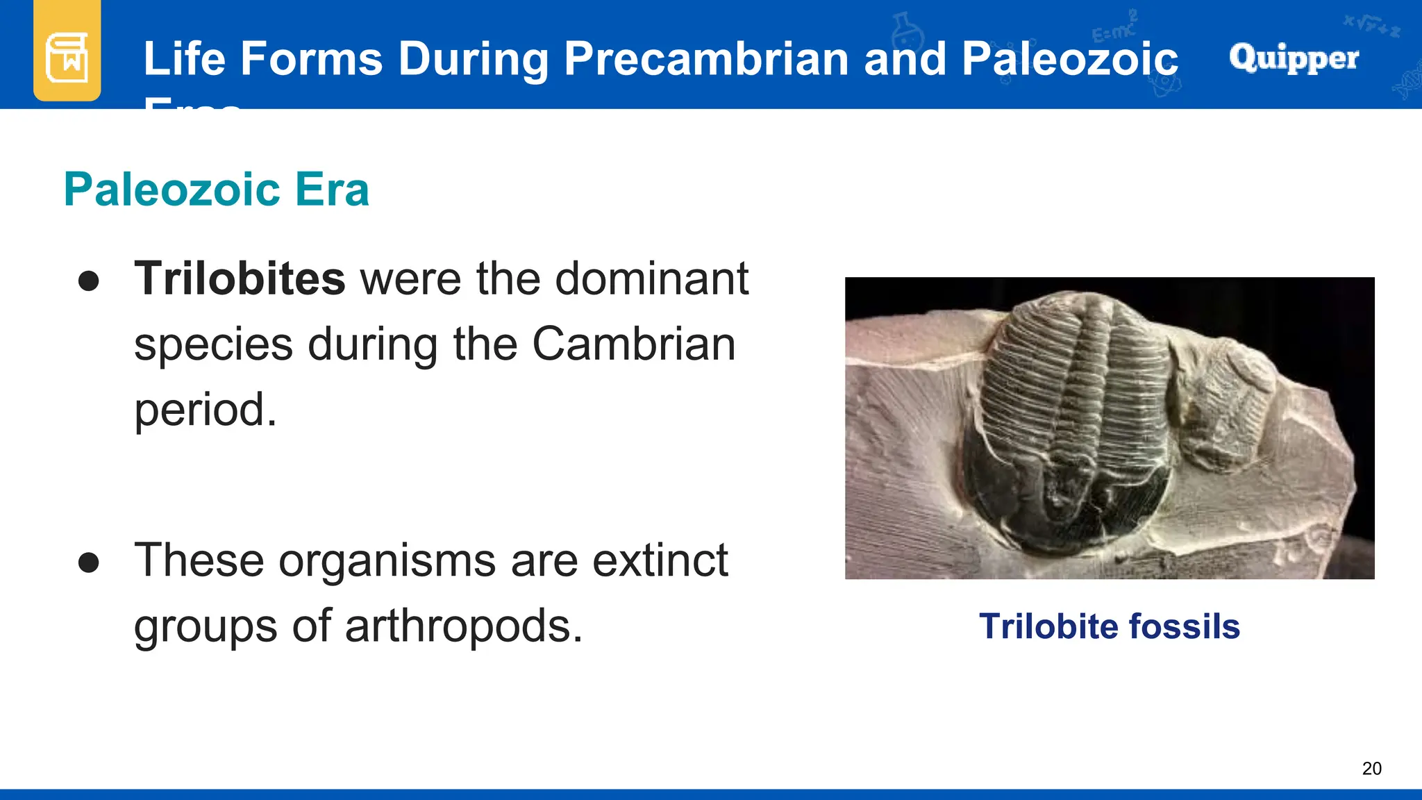 Life during the Precambrian and Paleozoic Period | PPTX