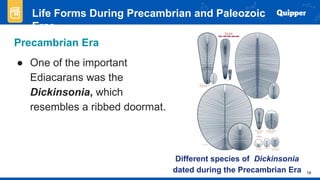 Life during the Precambrian and Paleozoic Period | PPTX