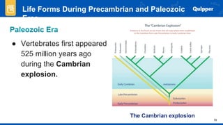 Life during the Precambrian and Paleozoic Period | PPTX