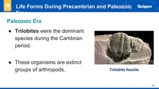Life during the Precambrian and Paleozoic Period | PPTX