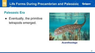 Life during the Precambrian and Paleozoic Period | PPTX