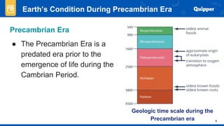 Life during the Precambrian and Paleozoic Period | PPTX