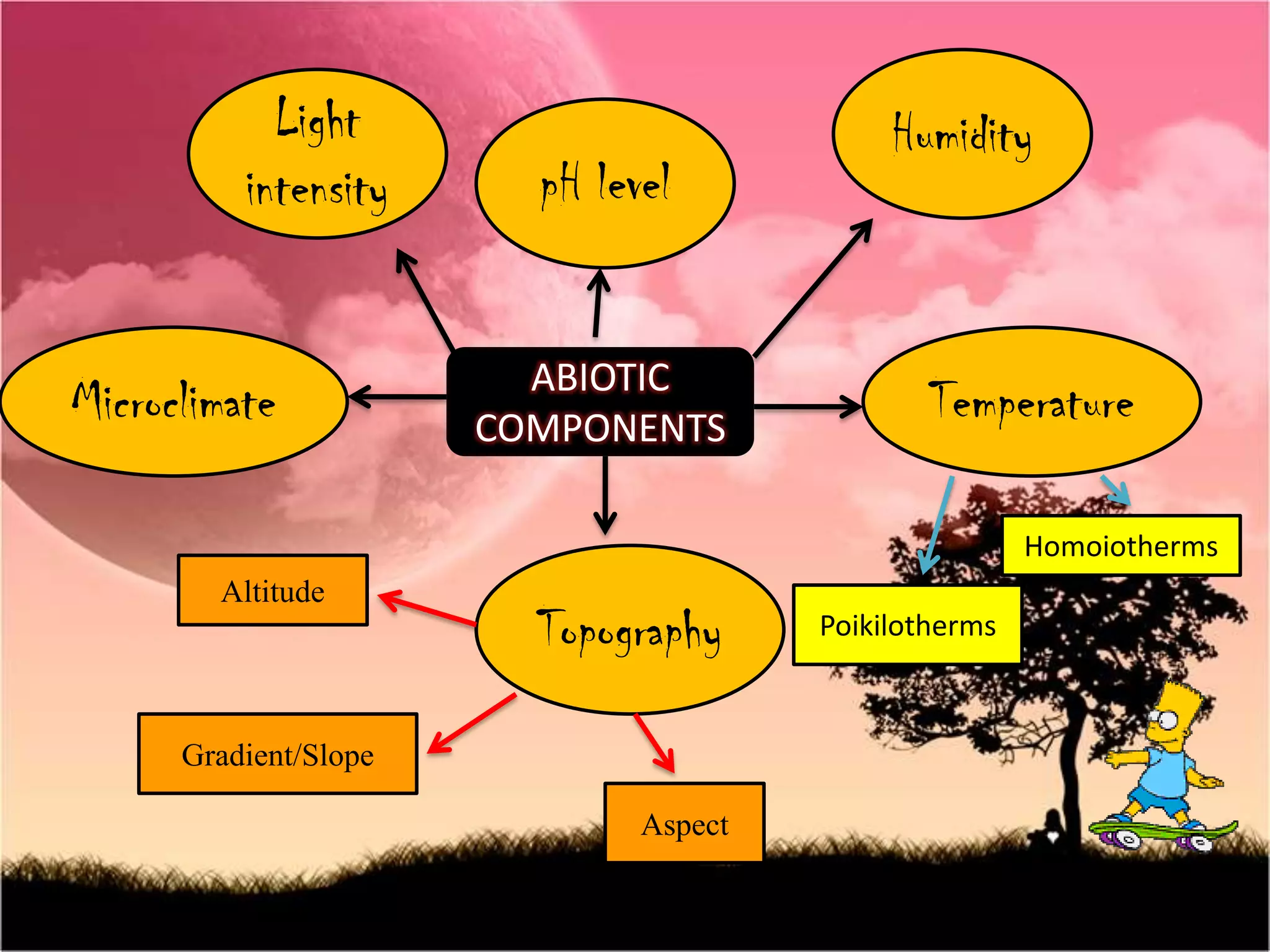 Biology - Abiotic Components | PPTX