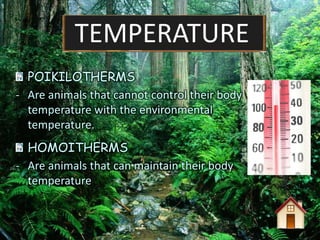Biology - Abiotic Components | PPT