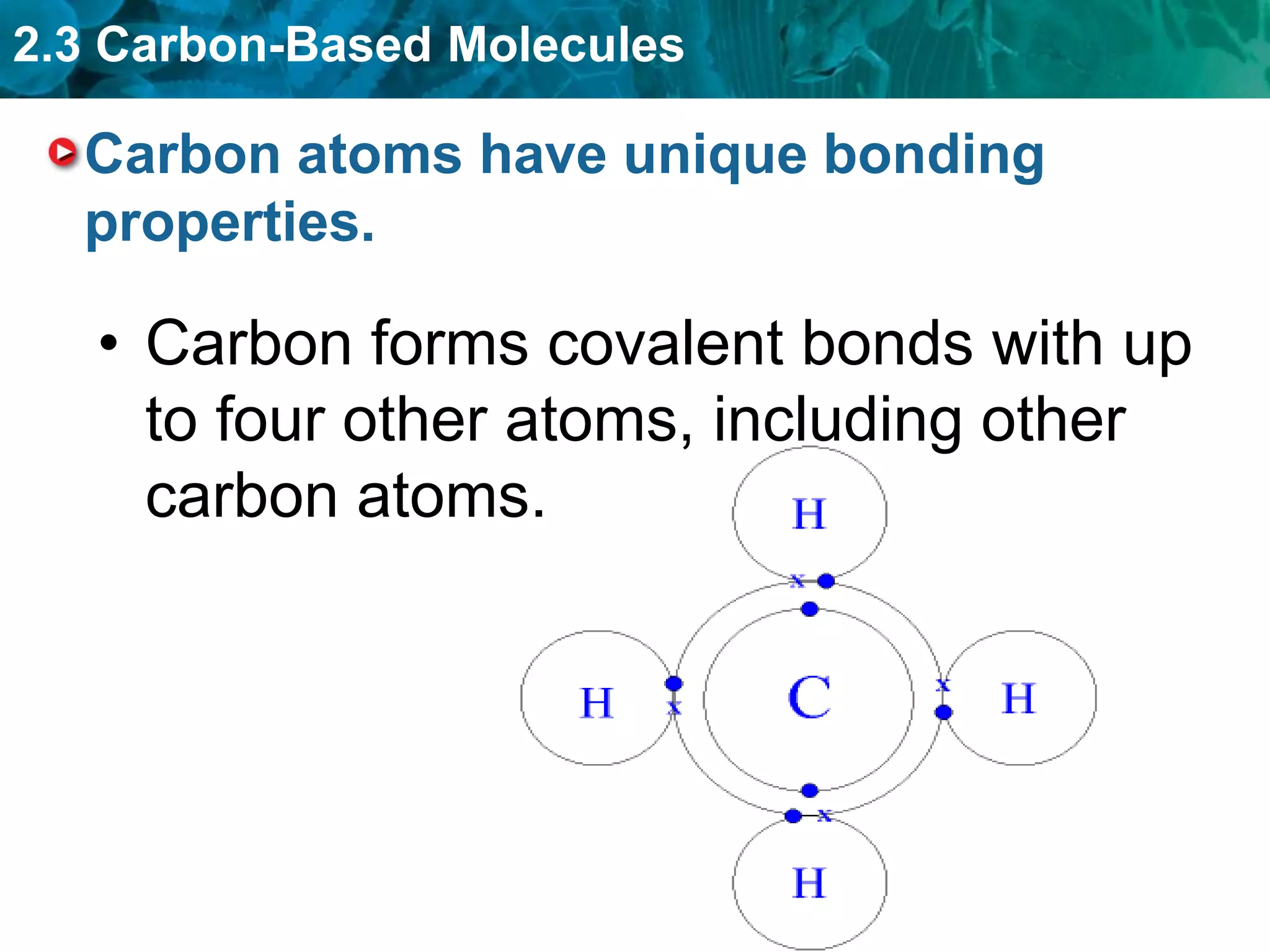 bio 2.3 carbon chemistry.ppt