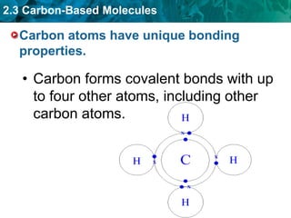 bio 2.3 carbon chemistry.ppt