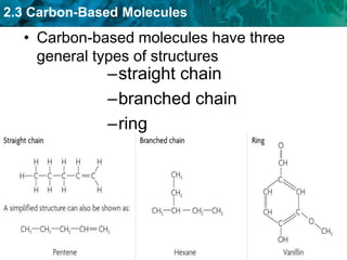 bio 2.3 carbon chemistry.ppt