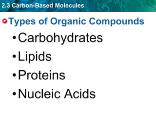 bio 2.3 carbon chemistry.ppt