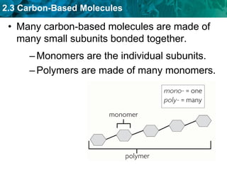 bio 2.3 carbon chemistry.ppt