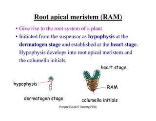 Botany notes double fertilization........ | PDF
