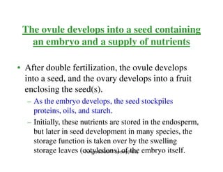 Botany notes double fertilization........ | PDF