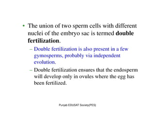 Botany notes double fertilization........ | PDF