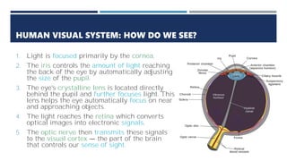 Brain Computer Interface and Artificial Brain: Interfacing ...