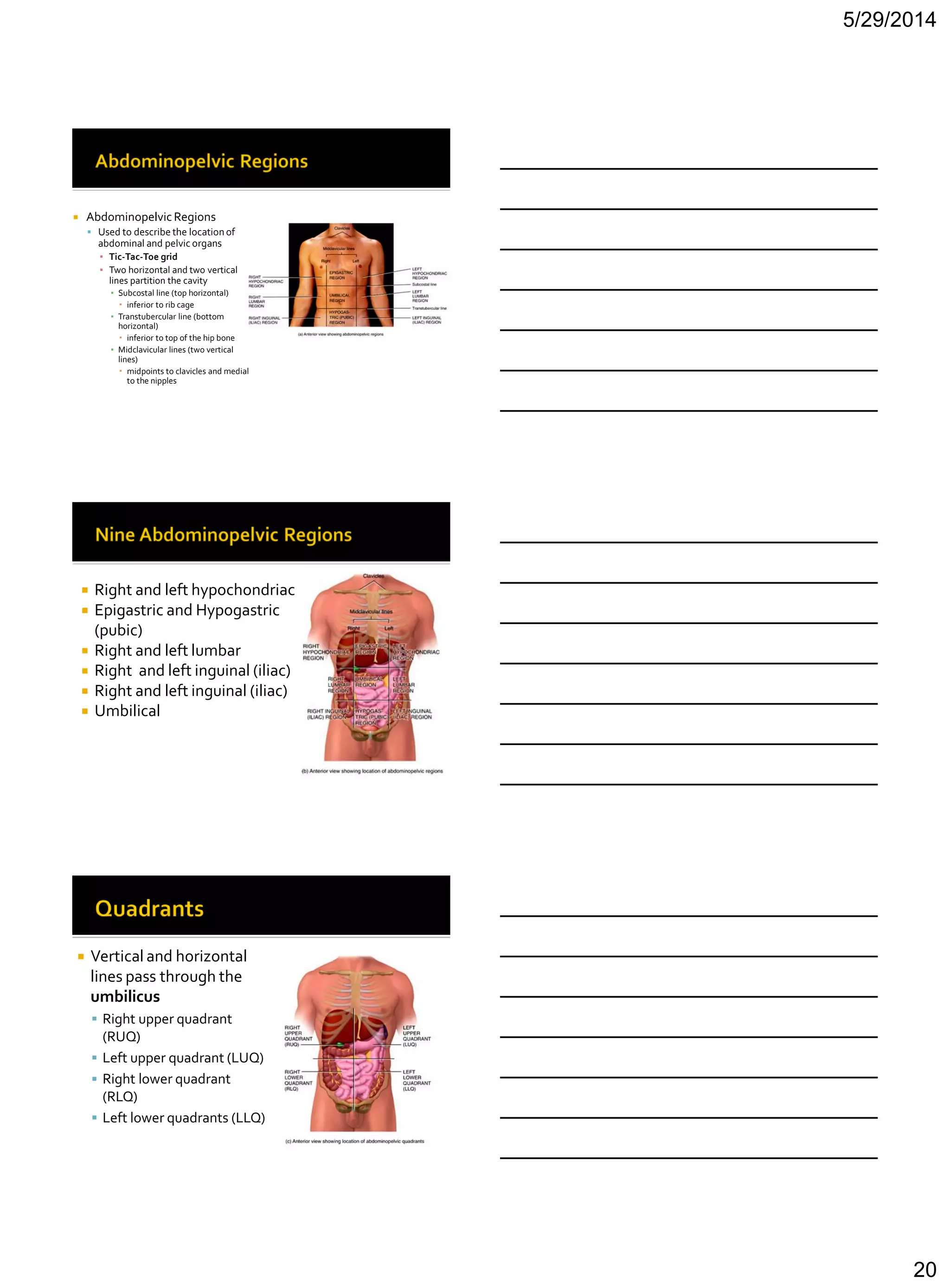 Bio 201 chapter 1 lecture | PDF