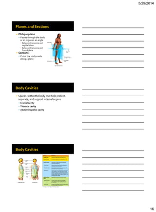 Bio 201 chapter 1 lecture | PDF