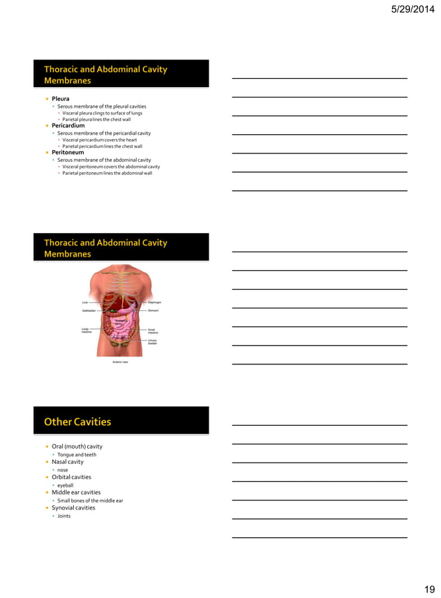 Bio 201 chapter 1 lecture | PDF