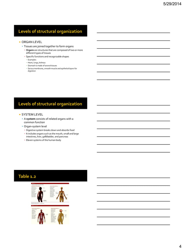 Bio 201 chapter 1 lecture | PDF