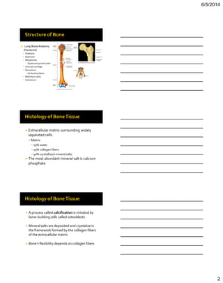 Bio 201 chapter 6 lecture | PDF