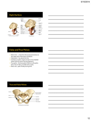 Bio 201 chapter 8 lecture | PDF