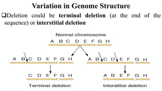 BIO 201 Genetics - Lectures 1-3.pptx