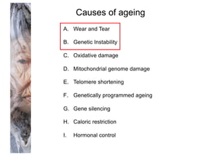 Bio202 18 19_ageing | PPT