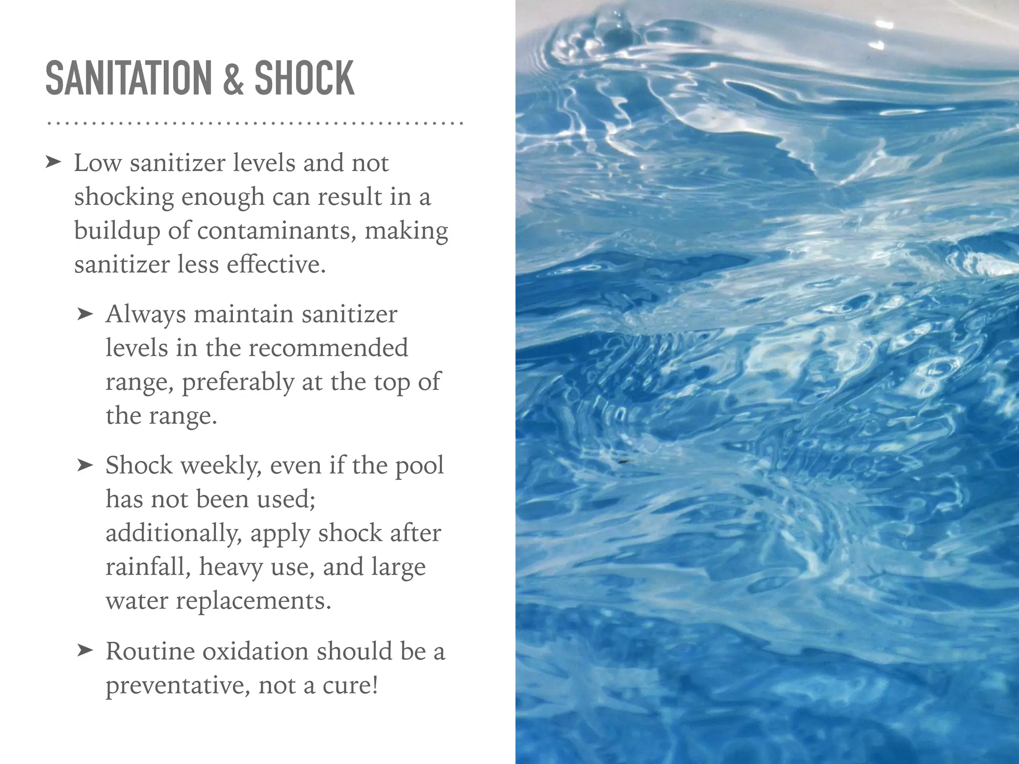 BIO203: Cloudy Water | PDF