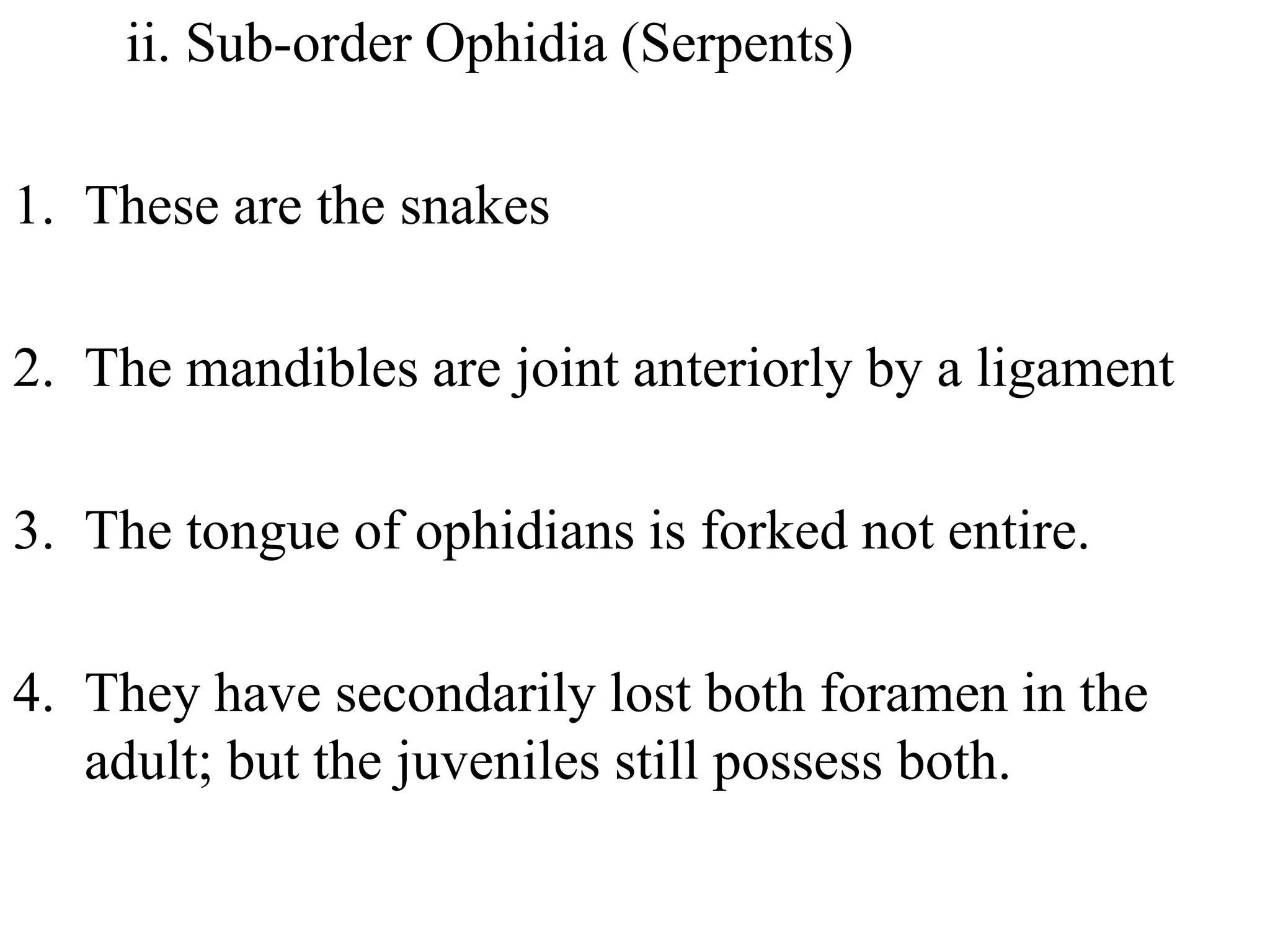 phylogeny of class Reptilia vertebrates.pptx