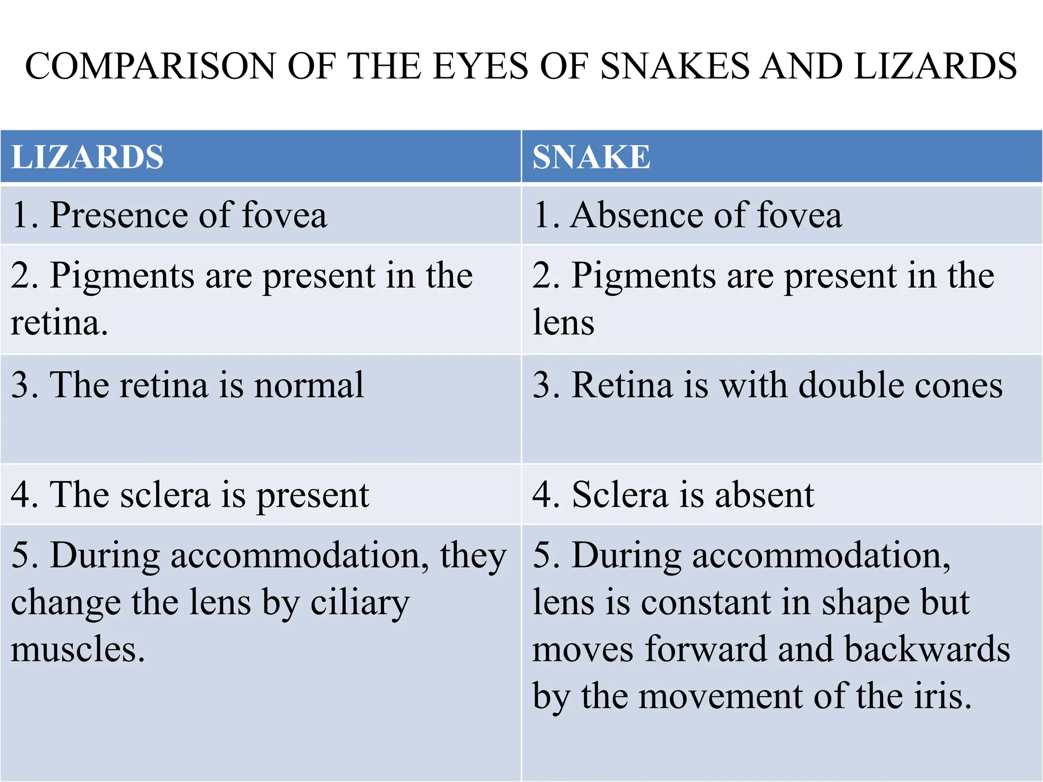 phylogeny of class Reptilia vertebrates.pptx