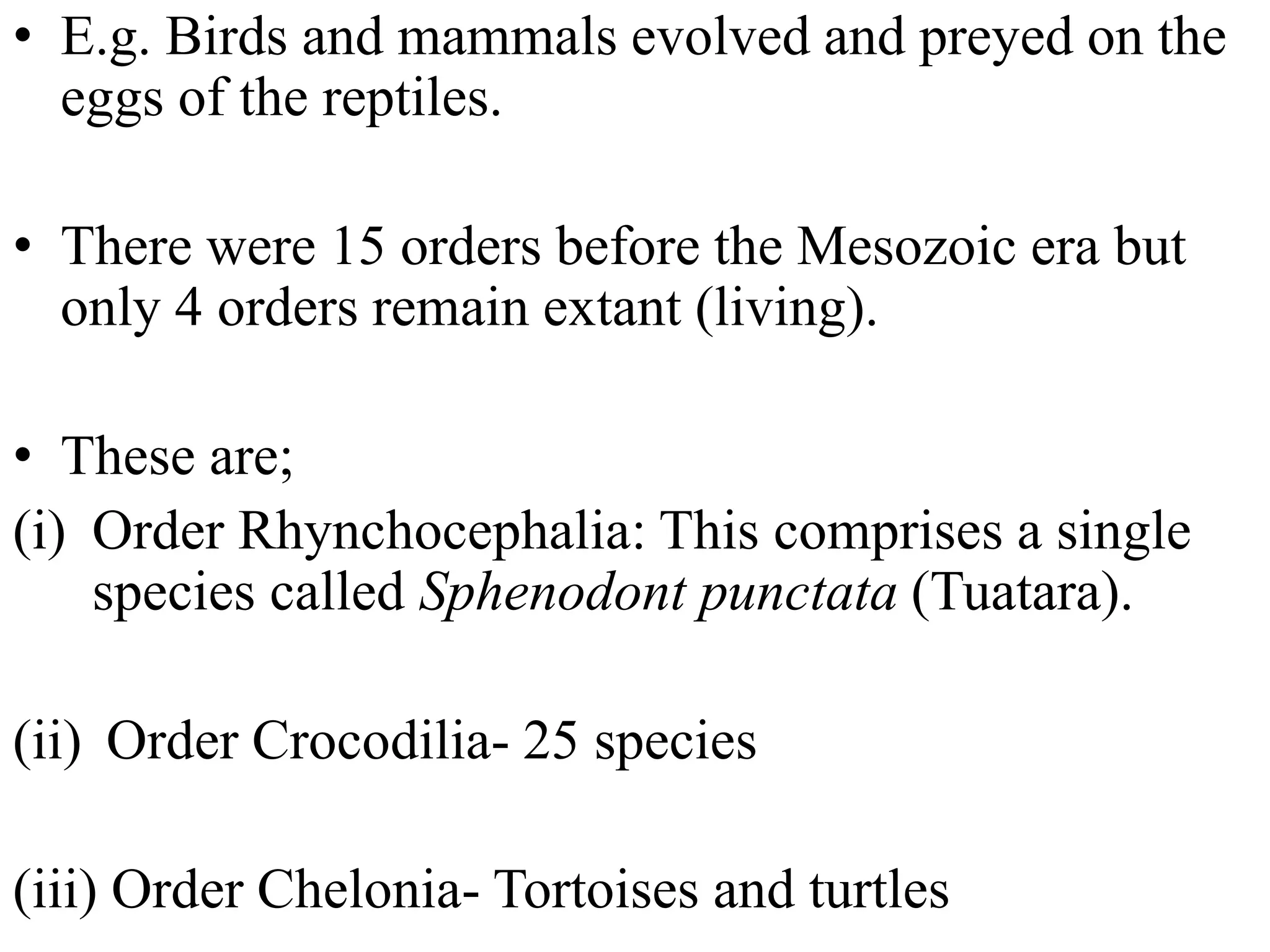 phylogeny of class Reptilia vertebrates.pptx | Reptiles | Pets