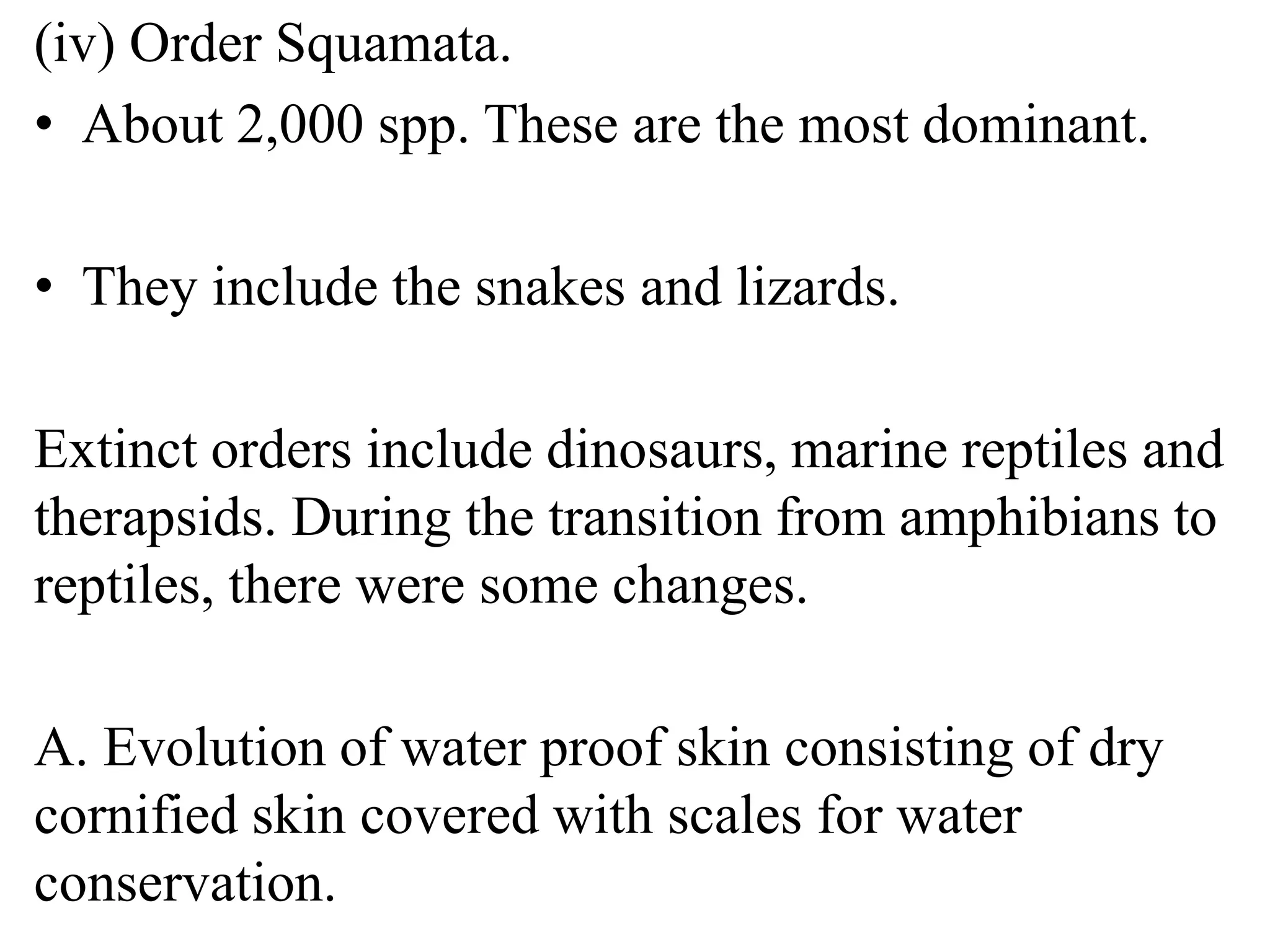 phylogeny of class Reptilia vertebrates.pptx