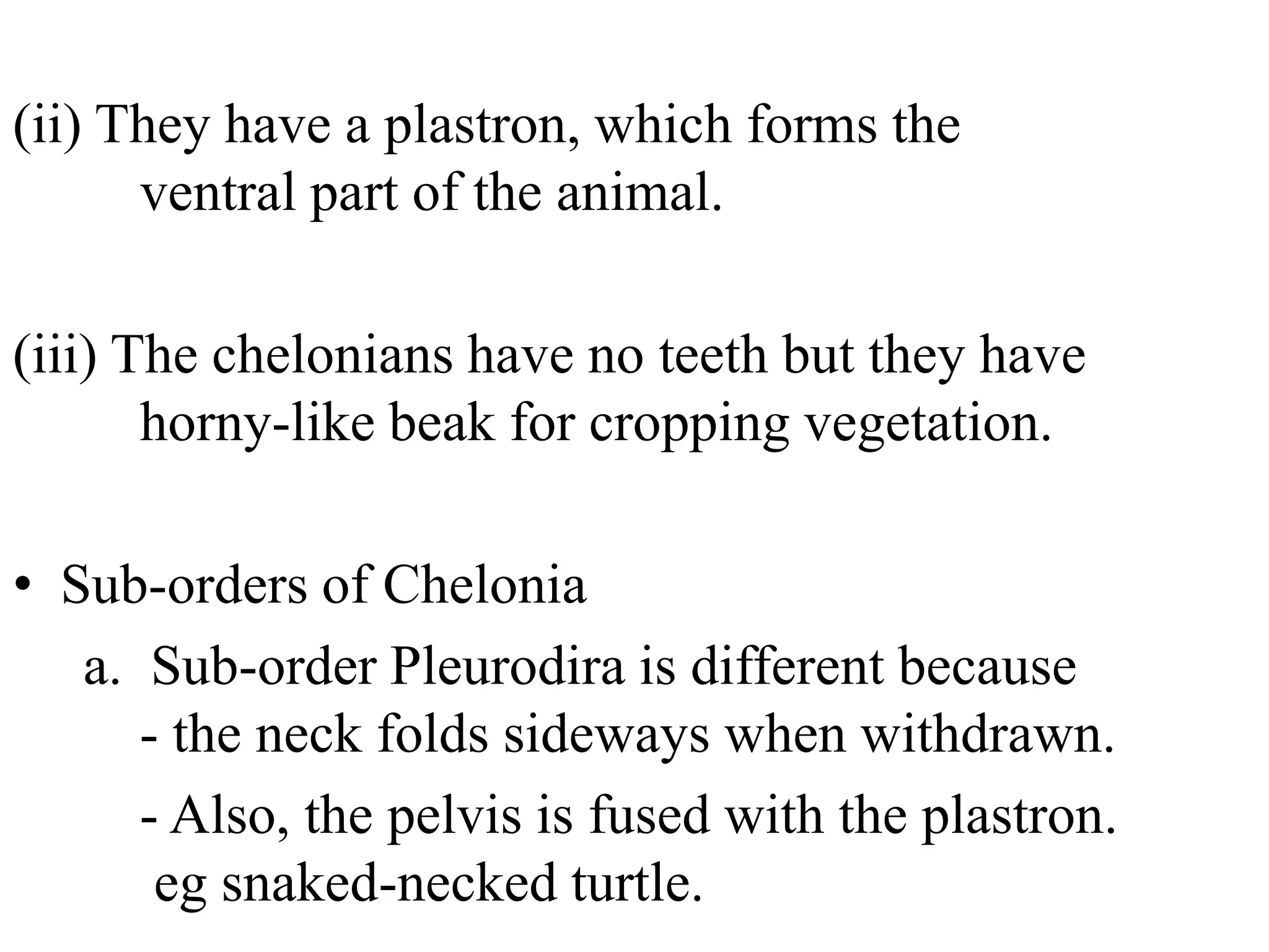 phylogeny of class Reptilia vertebrates.pptx