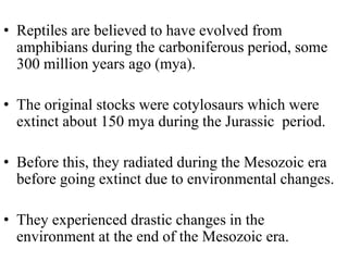 phylogeny of class Reptilia vertebrates.pptx