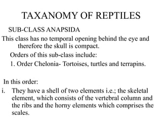phylogeny of class Reptilia vertebrates.pptx