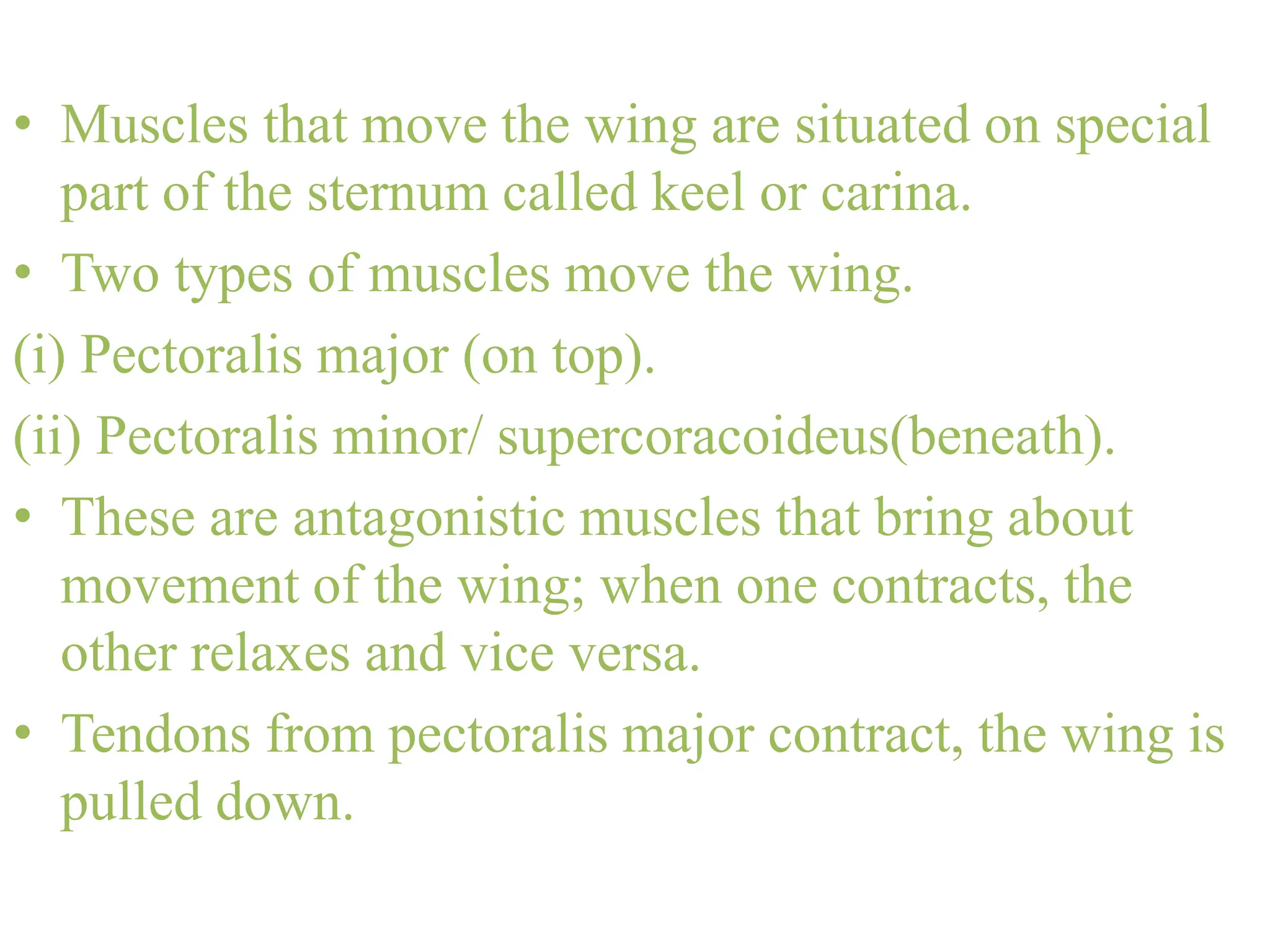 BIOLOGY VERTEBRATE Lesson 4 CLASS AVES.pptx | Birds | Pets