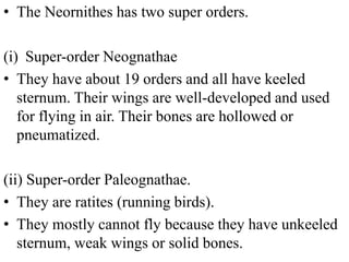 BIOLOGY VERTEBRATE Lesson 4 CLASS AVES.pptx | Birds | Pets