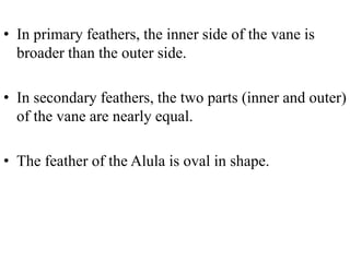 BIOLOGY VERTEBRATE Lesson 4 CLASS AVES.pptx | Birds | Pets