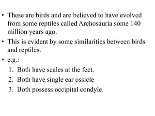 BIOLOGY VERTEBRATE Lesson 4 CLASS AVES.pptx