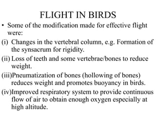 BIOLOGY VERTEBRATE Lesson 4 CLASS AVES.pptx | Birds | Pets