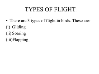 BIOLOGY VERTEBRATE Lesson 4 CLASS AVES.pptx | Birds | Pets