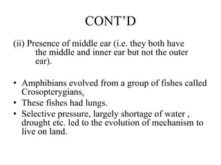 VERTEBRATES COMPLETE LECTUR E NOTES.pptx