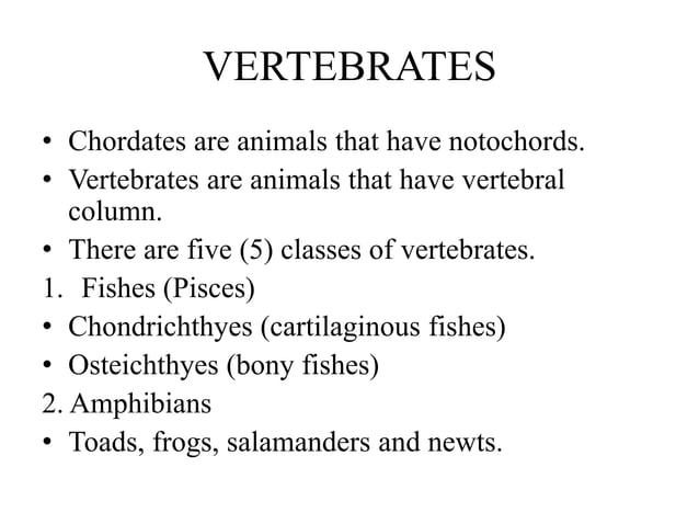 VERTEBRATES COMPLETE LECTUR E NOTES.pptx