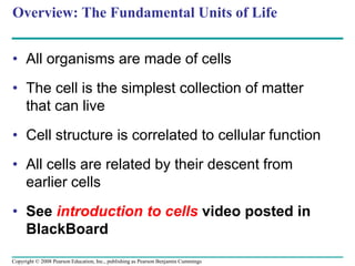 BIO20 Lecture 1 part 1.pptx
