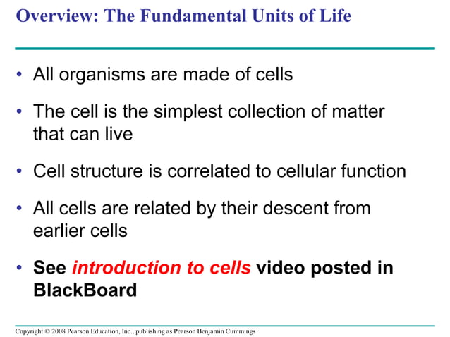 BIO20 Lecture 1 part 1.pptx BIO20 Lecture 1 part 1.pptx