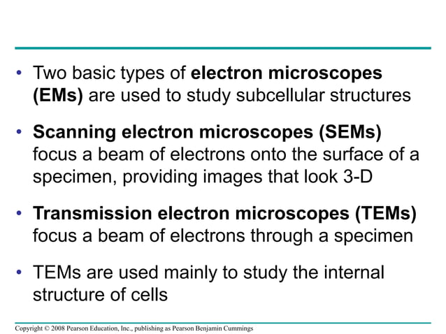 BIO20 Lecture 1 part 1.pptx
