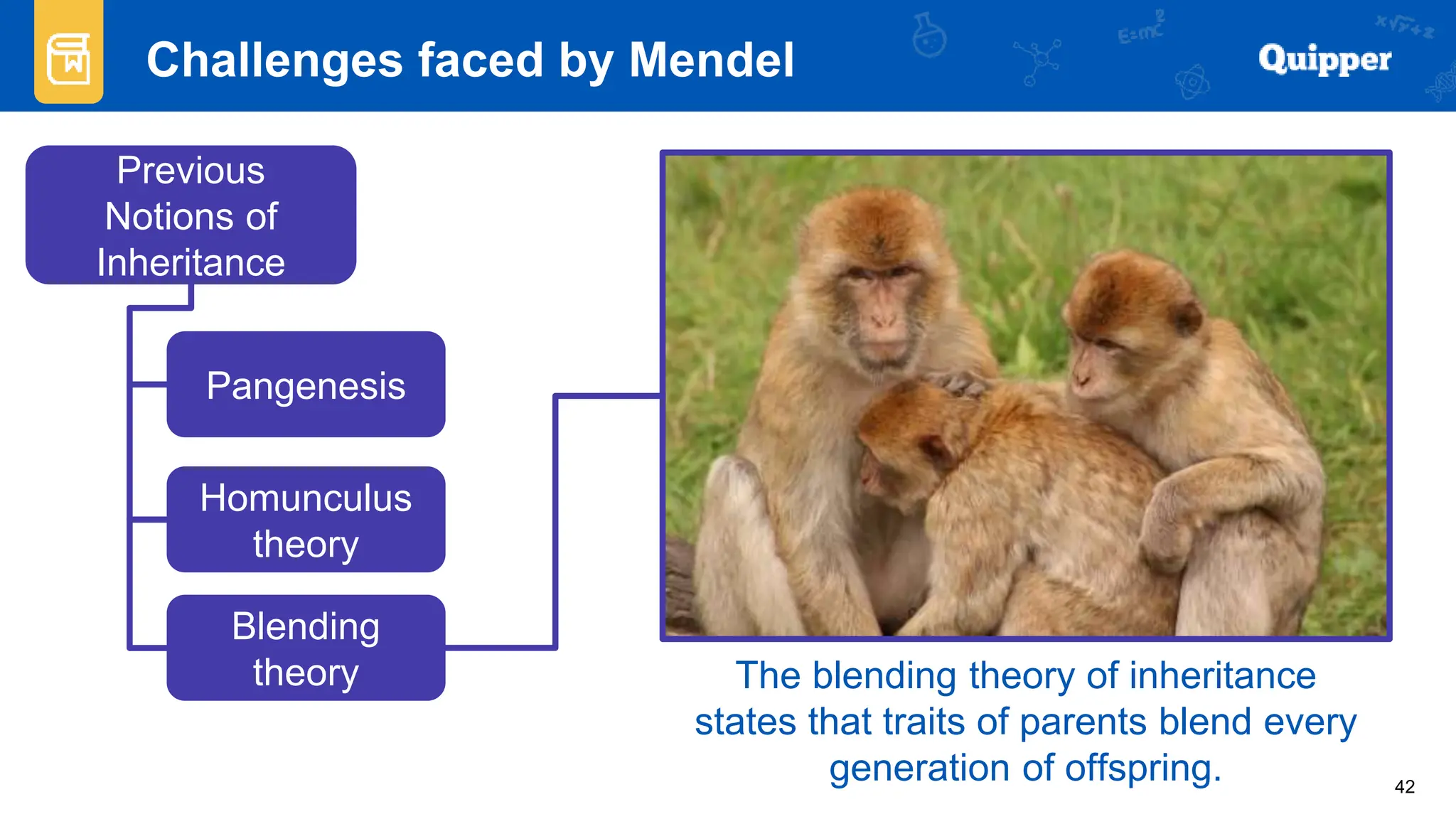 Gen Bio 2 - Mendelian Laws of Inheritance | PPTX