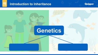 Gen Bio 2 - Mendelian Laws of Inheritance | PPTX