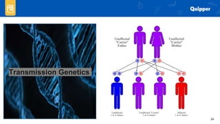 Gen Bio 2 - Mendelian Laws of Inheritance | PPTX